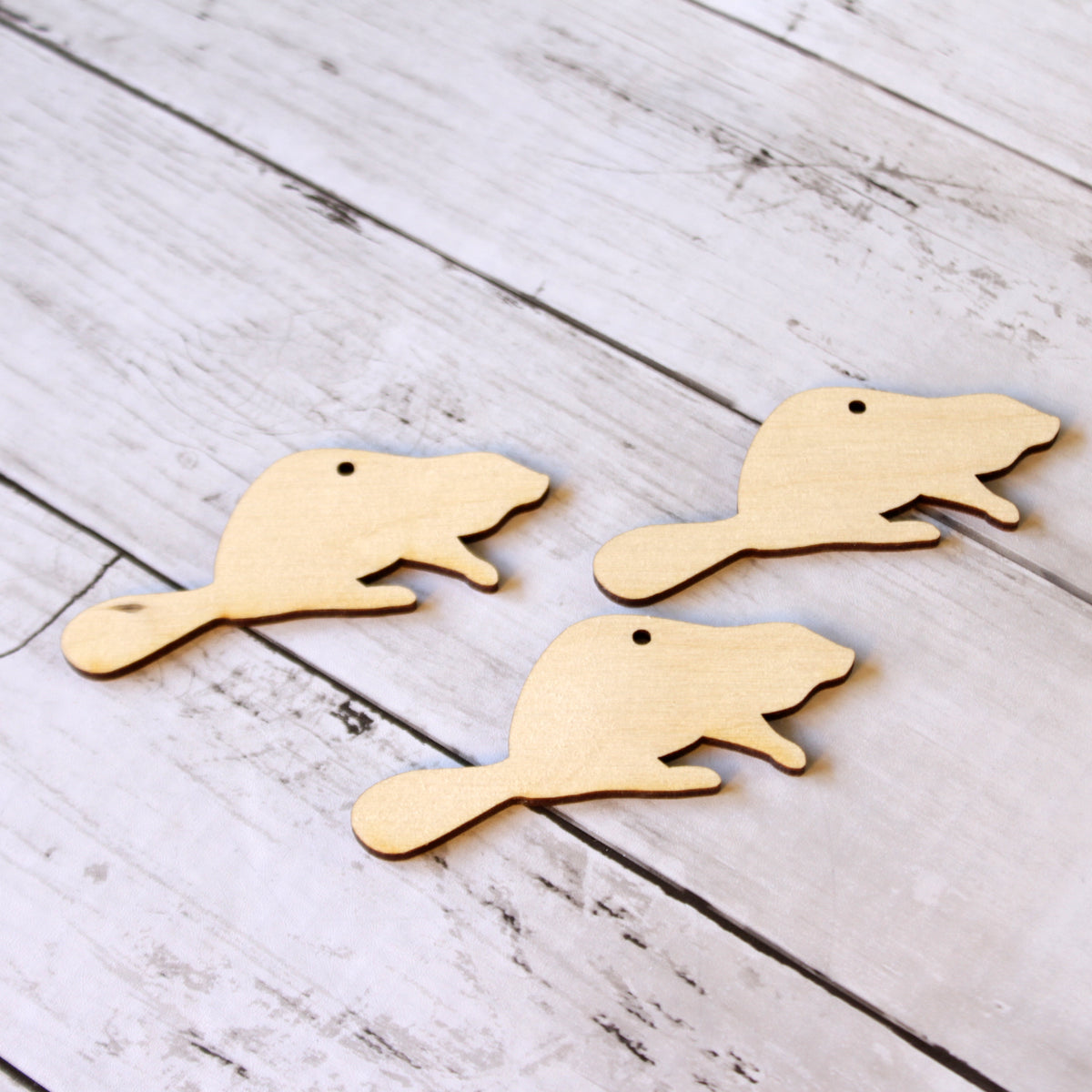 Beaver Cutout – Epicycle Designs